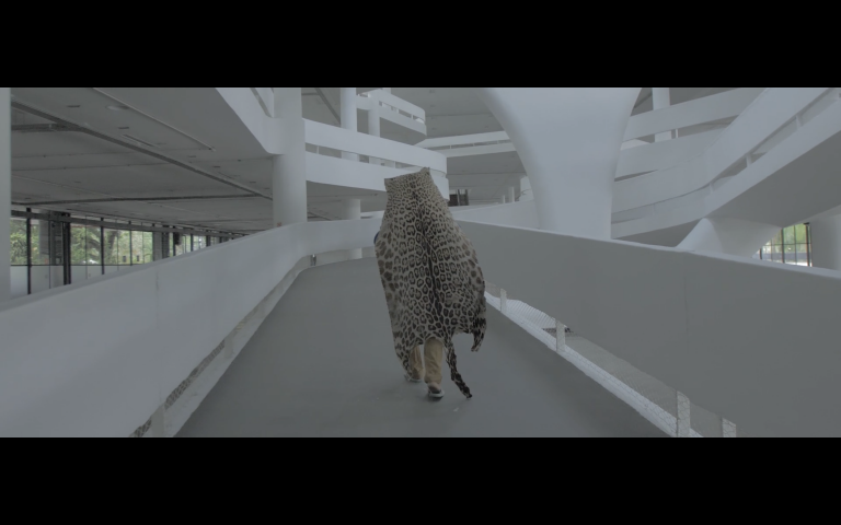 Edgar Calel – KADIST