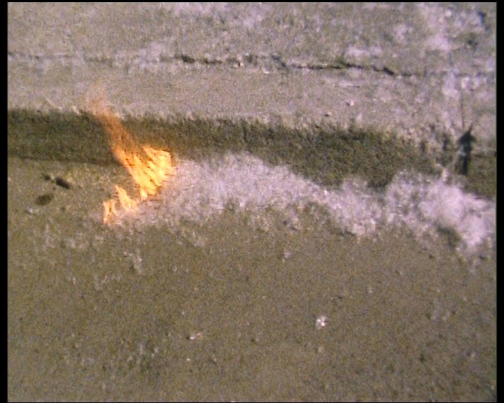 Rite of Spring – KADIST